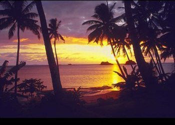 Sunset Lagoon (24x36) - NAT36253 – GLOBAL PRINTS